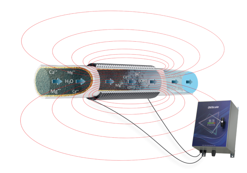 Scale Controller - DSGS